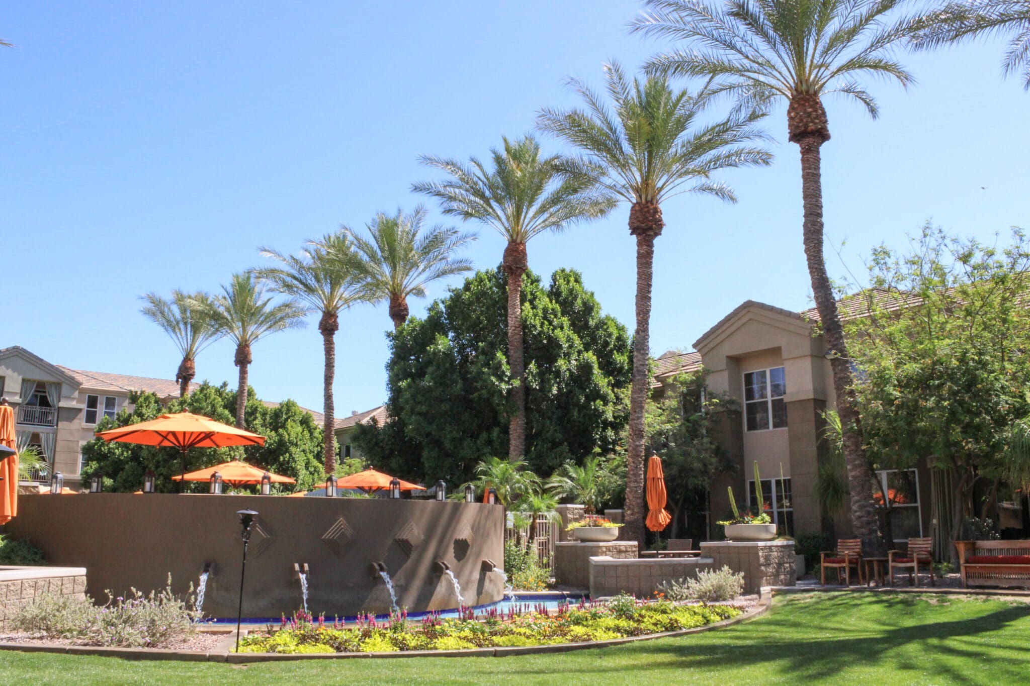 AME Landscape Company – We are here to do better